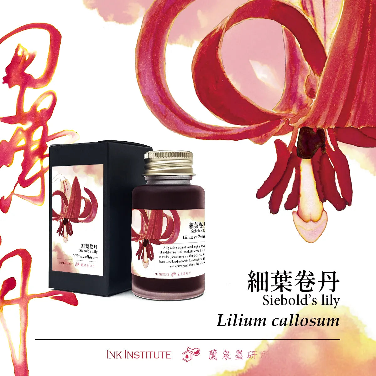 Ink Institute Fountain Pen Inks Meander Series Siebold's Lily 30 ml ...